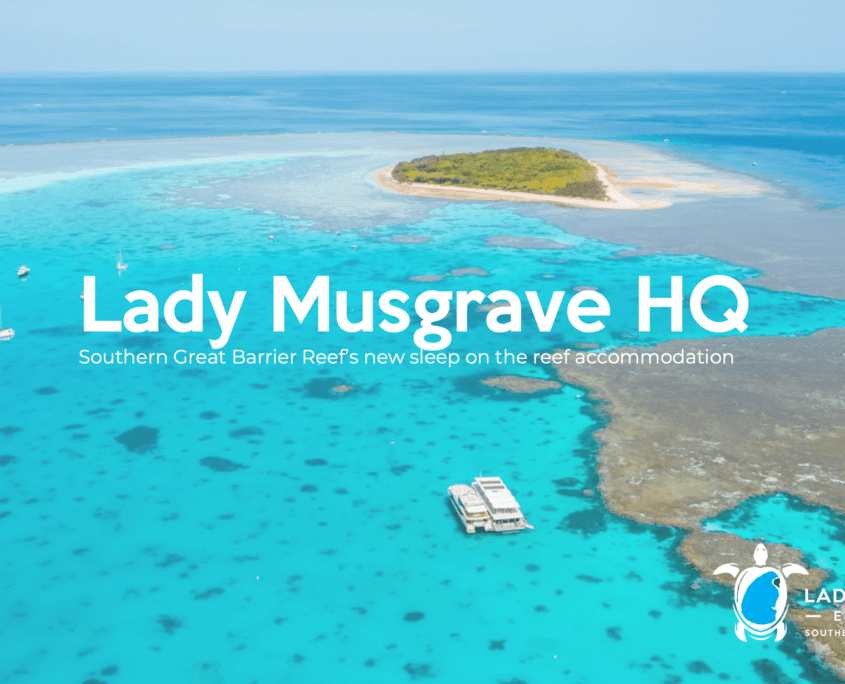 About | Things To Do Bundaberg | Great Barrier Reef Tours